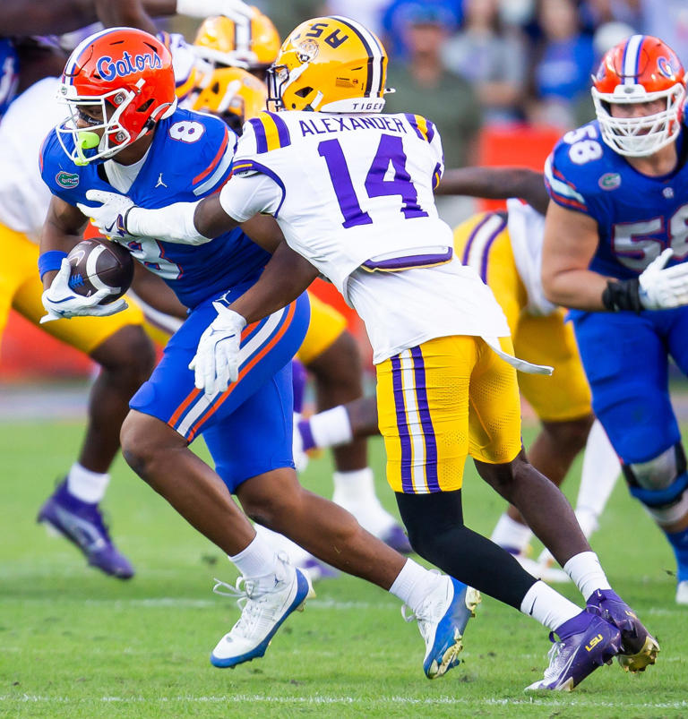 Florida football transfer tracker: TE Arlis Boardingham announces he's ...
