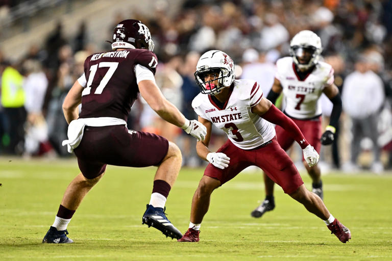 Safety Tayden Barnes returning to NMSU after season away at Cincinnati