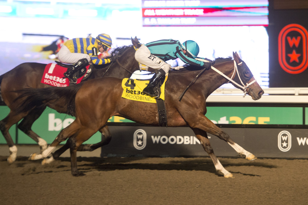 Nobals Draws Rail For Kennedy Road Stakes