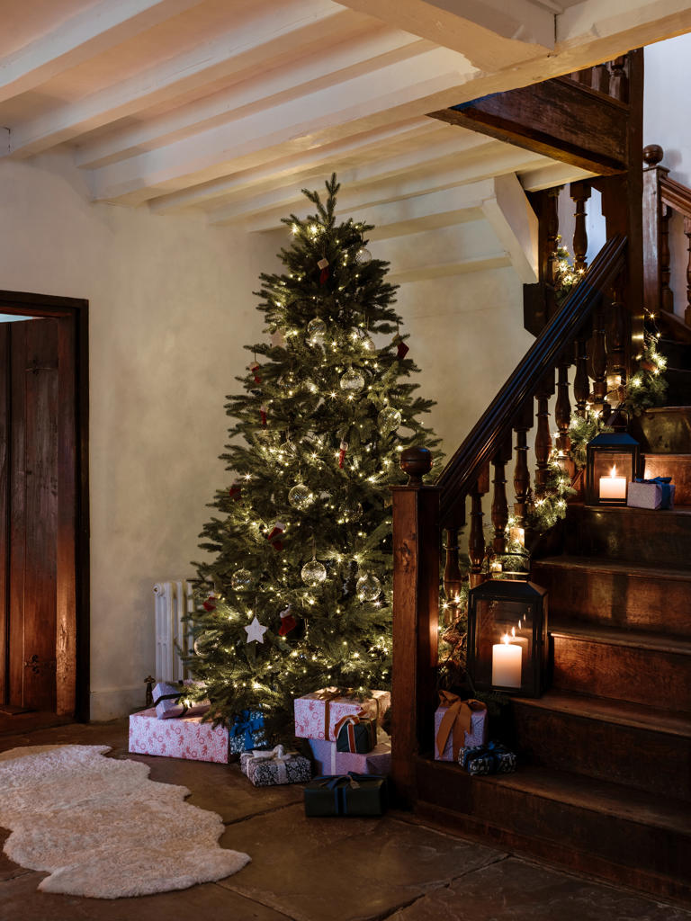How to Keep Your Christmas Tree From Drying Out — Expert Tips for ...