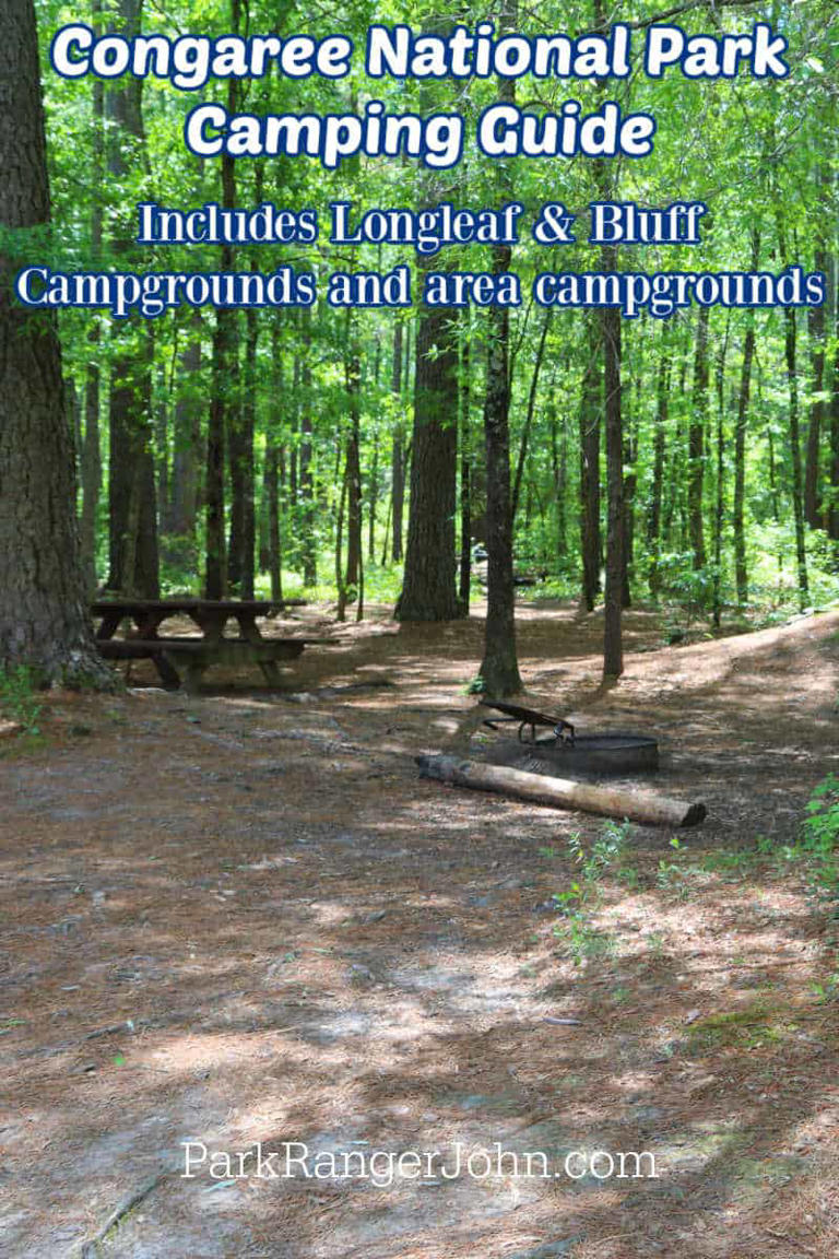 Epic Camping Guide for Congaree National Park- South Carolina