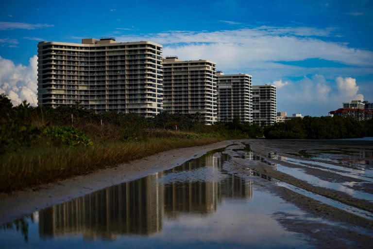 Baby, it's cold outside. What do low temps mean for invasive Burmese ...