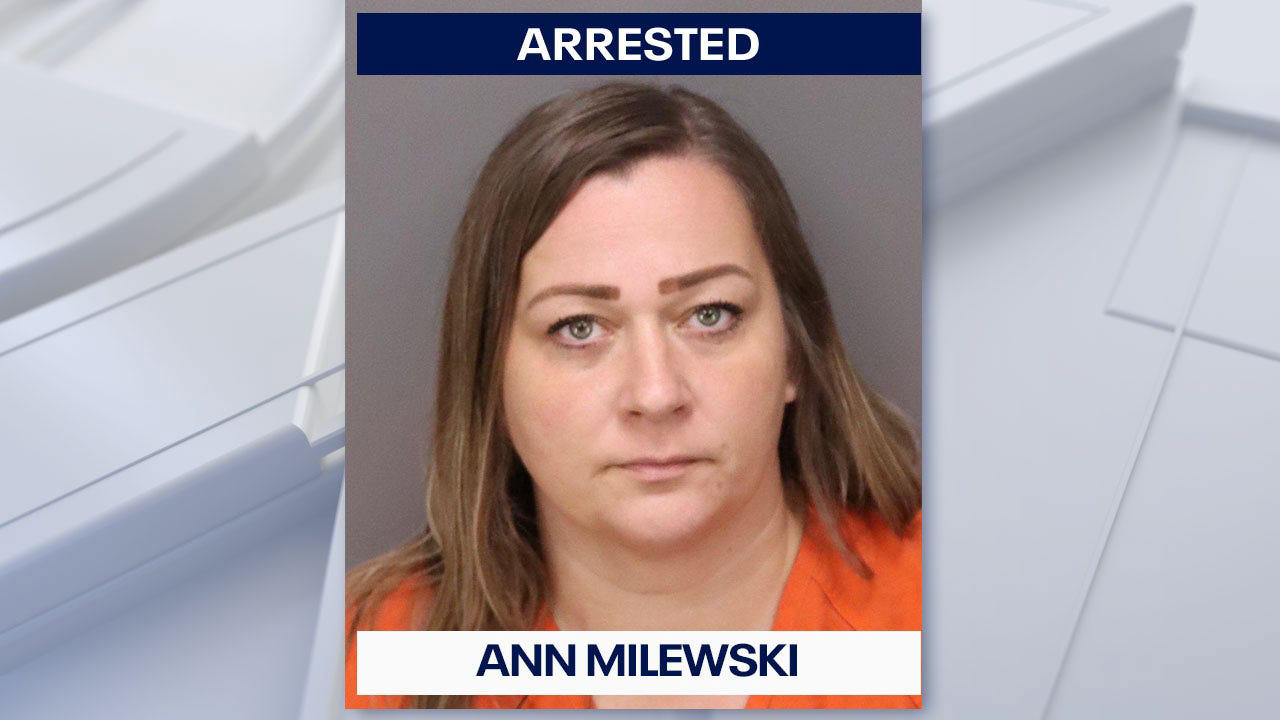 Employee at Dunedin restaurant arrested for stealing $57k since 2021 ... Employee at Dunedin restaurant arrested for stealing $57k since 2021 ...