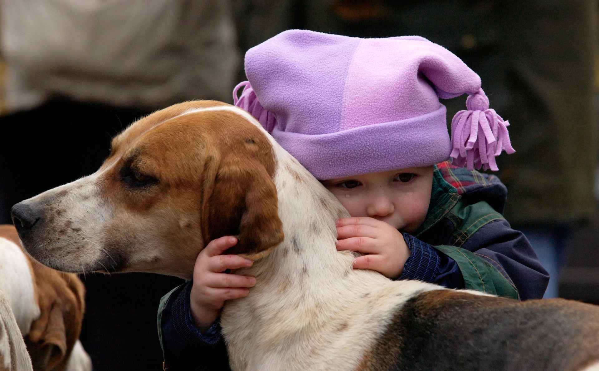 How having a pet could boost your child's brain How having a pet could boost your child's brain