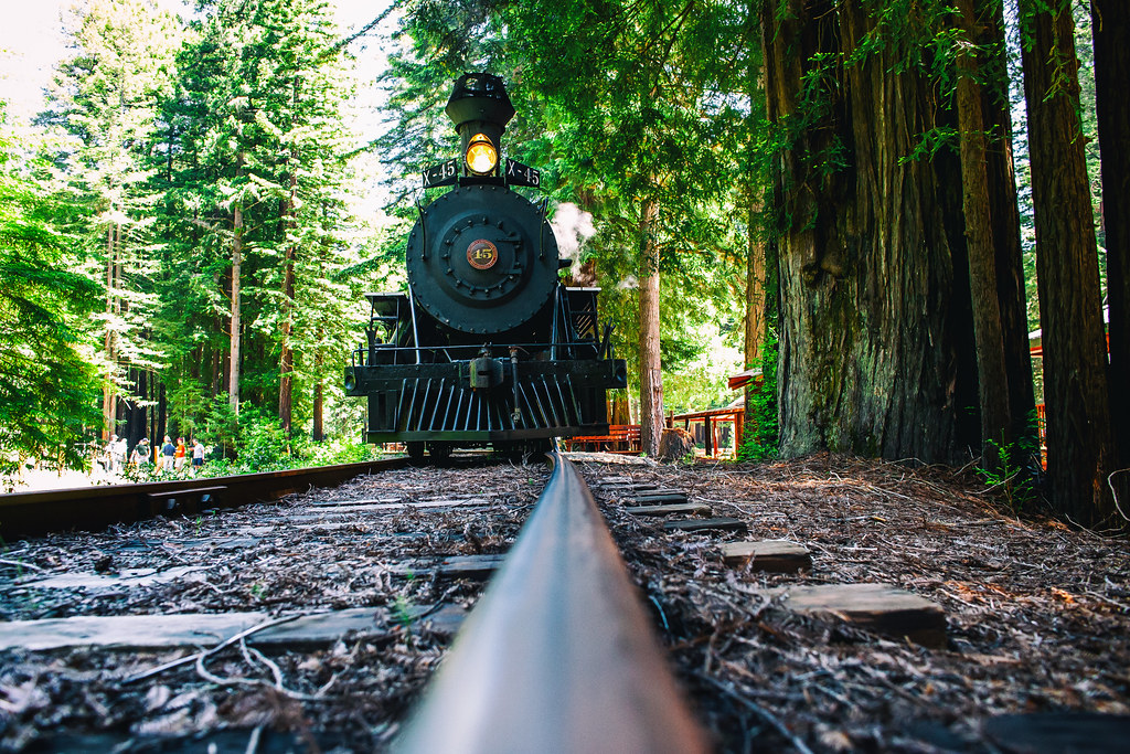 9 Scenic Train Rides in the PNW You Have to Try