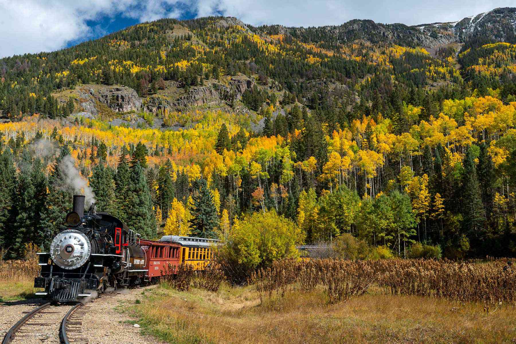 Experience Colorado's Scenic Wonders: 7 Must-Try Train Rides