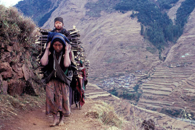 Genetic mutation helps Tibetans thrive at high altitudes, study shows Genetic mutation helps Tibetans thrive at high altitudes, study shows