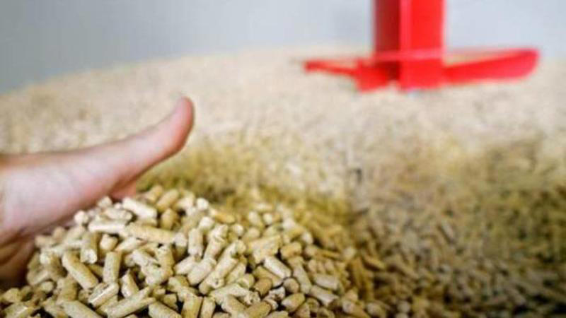 Pellet per l’inverno, aumentano le truffe. Ecco la guida per difendersi Pellet per l’inverno, aumentano le truffe. Ecco la guida per difendersi