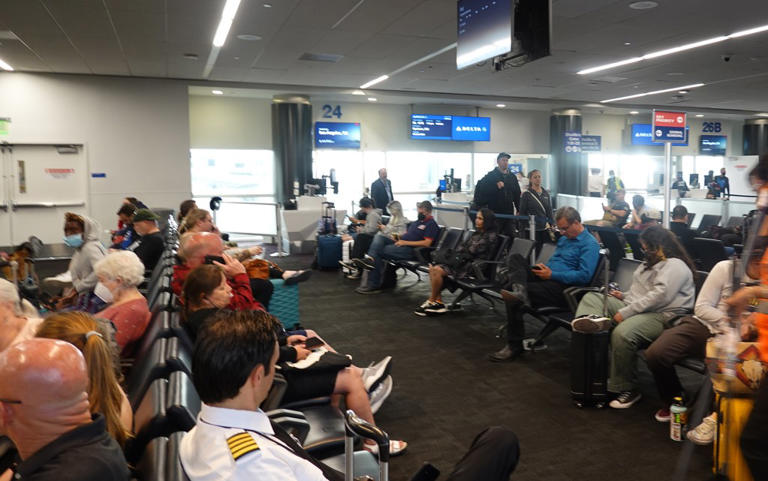 Website Indicts International Travel Wait Times at LAX During Holidays