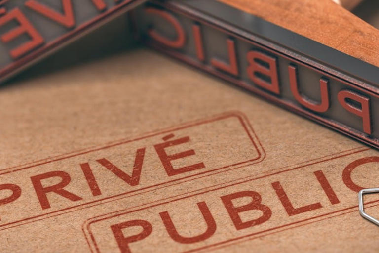 Bientôt une plateforme numérique pour optimiser les partenariats public ...