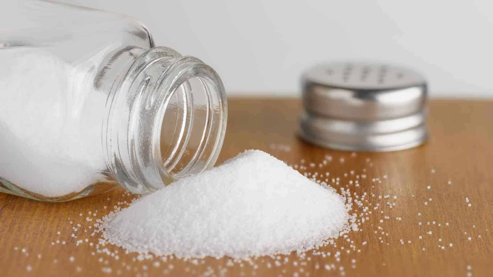 Not All Salt Is the Same! A Guide to 12 Types of Salt and Their Best Uses
