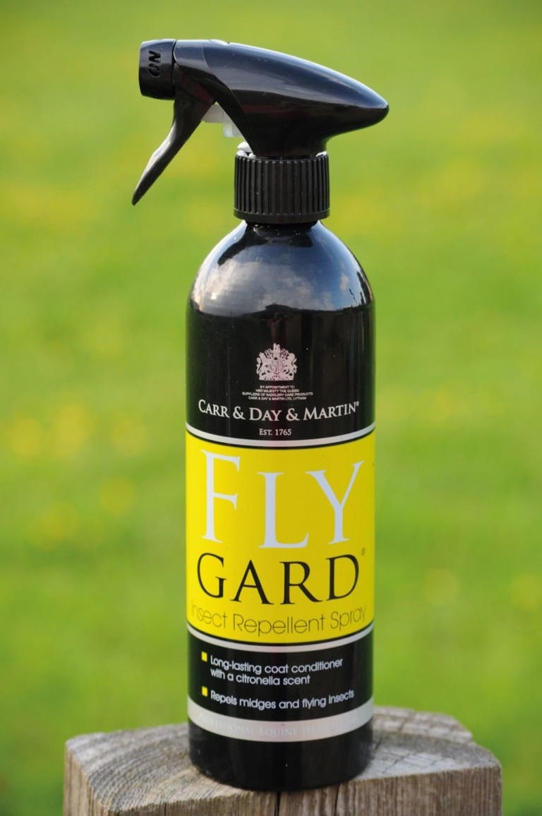 Best fly sprays for horses as tested by owners and riders