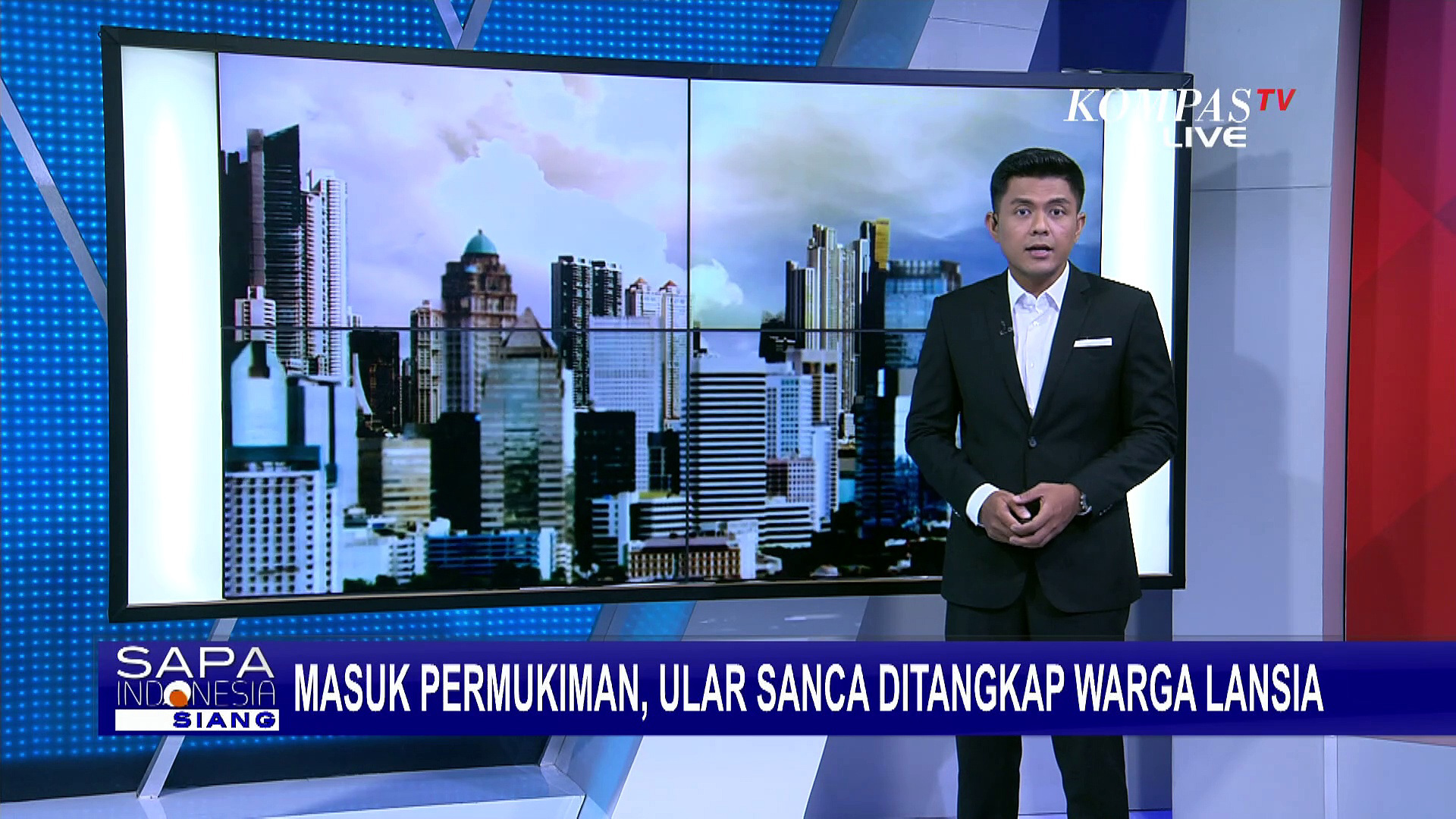 Aksi Nenek Tangkap Ular Sanca Sepanjang 4 Meter, Kesal Sering Masuk ... Aksi Nenek Tangkap Ular Sanca Sepanjang 4 Meter, Kesal Sering Masuk ...