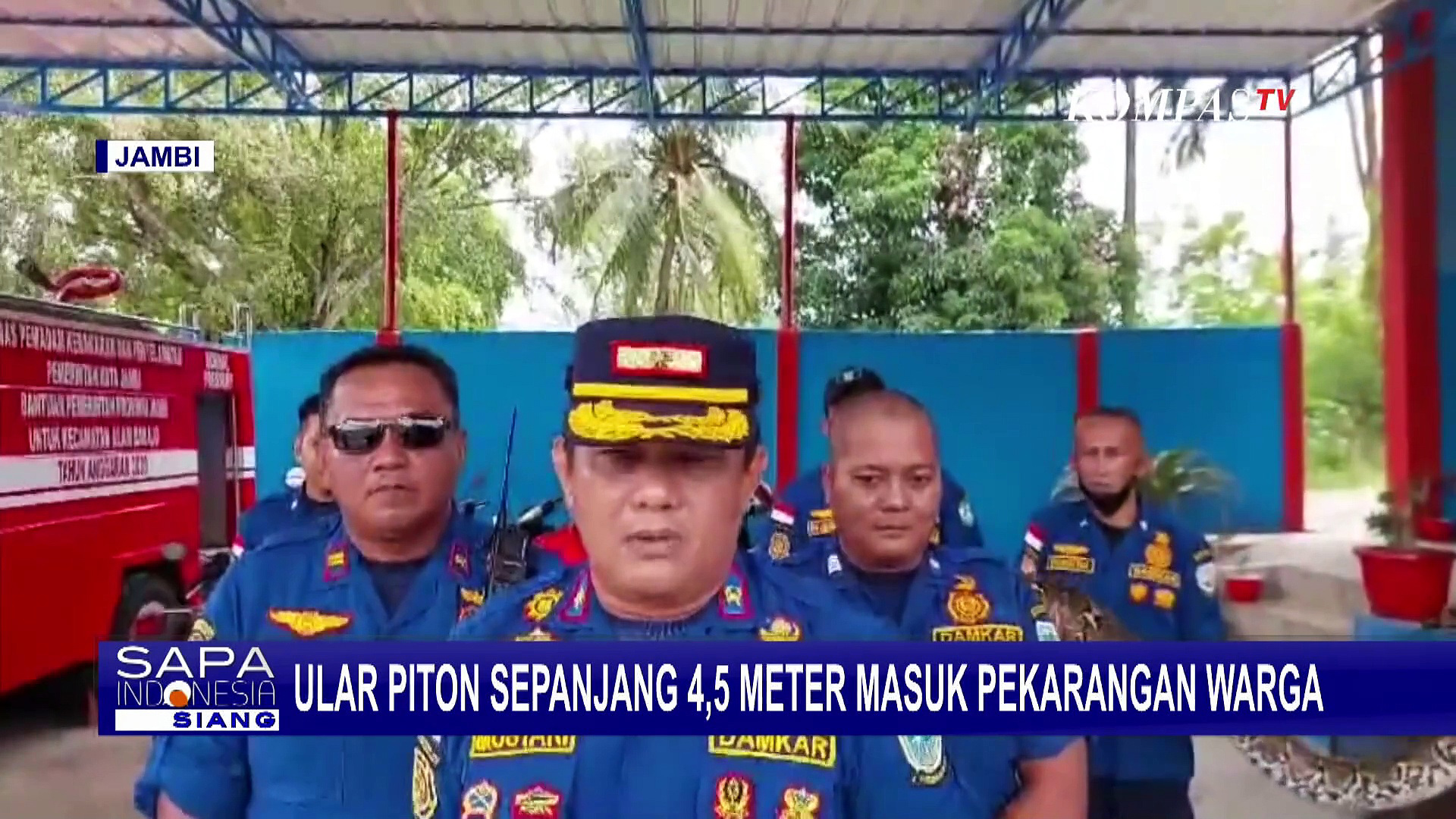Heboh Ular Piton 4,5 Meter Masuk Pekarangan Rumah Warga di Jambi, Berat ... Heboh Ular Piton 4,5 Meter Masuk Pekarangan Rumah Warga di Jambi, Berat ...
