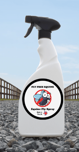 Best fly sprays for horses as tested by owners and riders