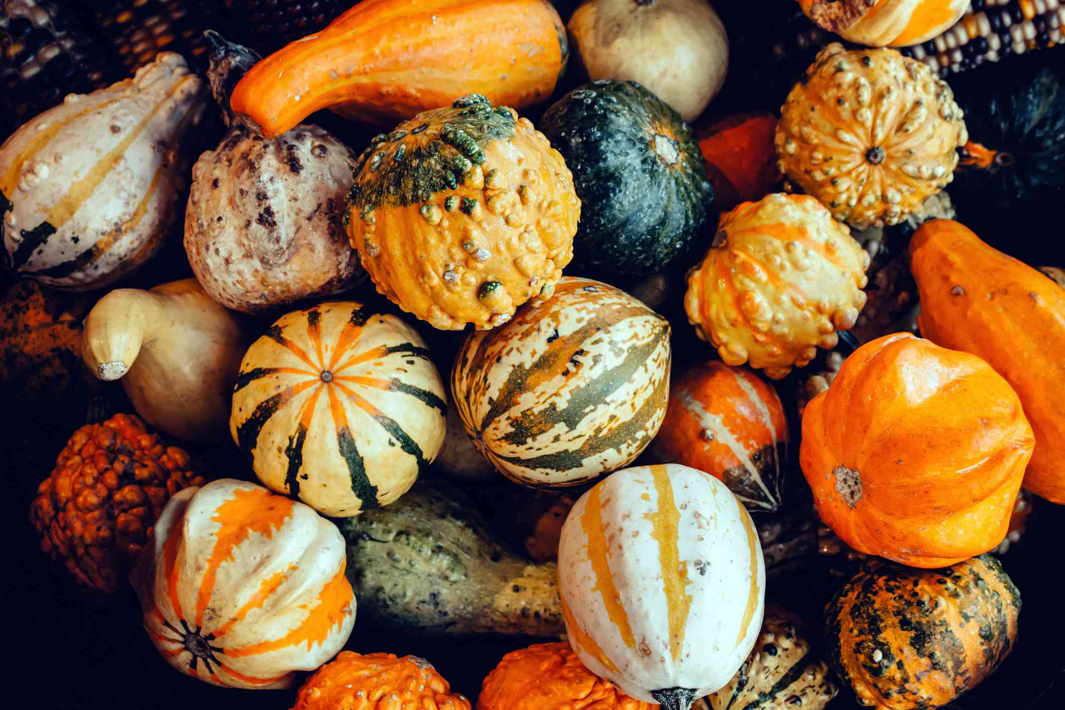 10 Squash Varieties You Need To Try This Winter