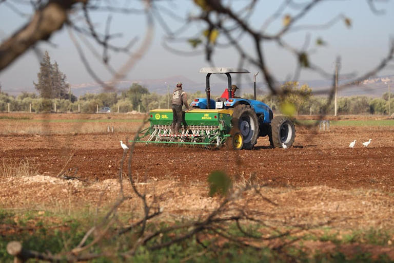 Drought triggers agricultural shift as Moroccan farmers uproot fruit ...