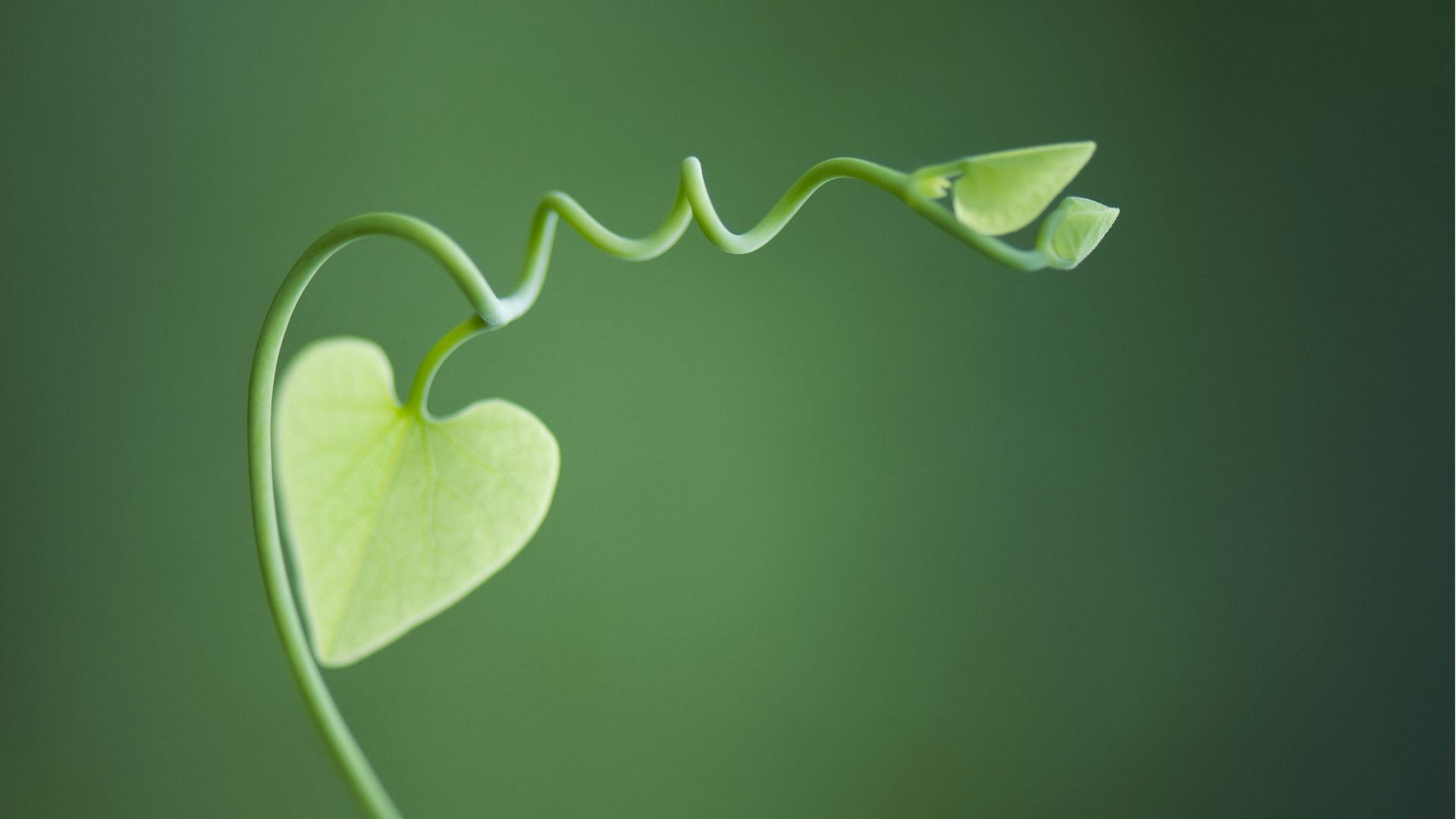 Six Ways to Optimize Your Charitable Giving Before Year-End Six Ways to Optimize Your Charitable Giving Before Year-End