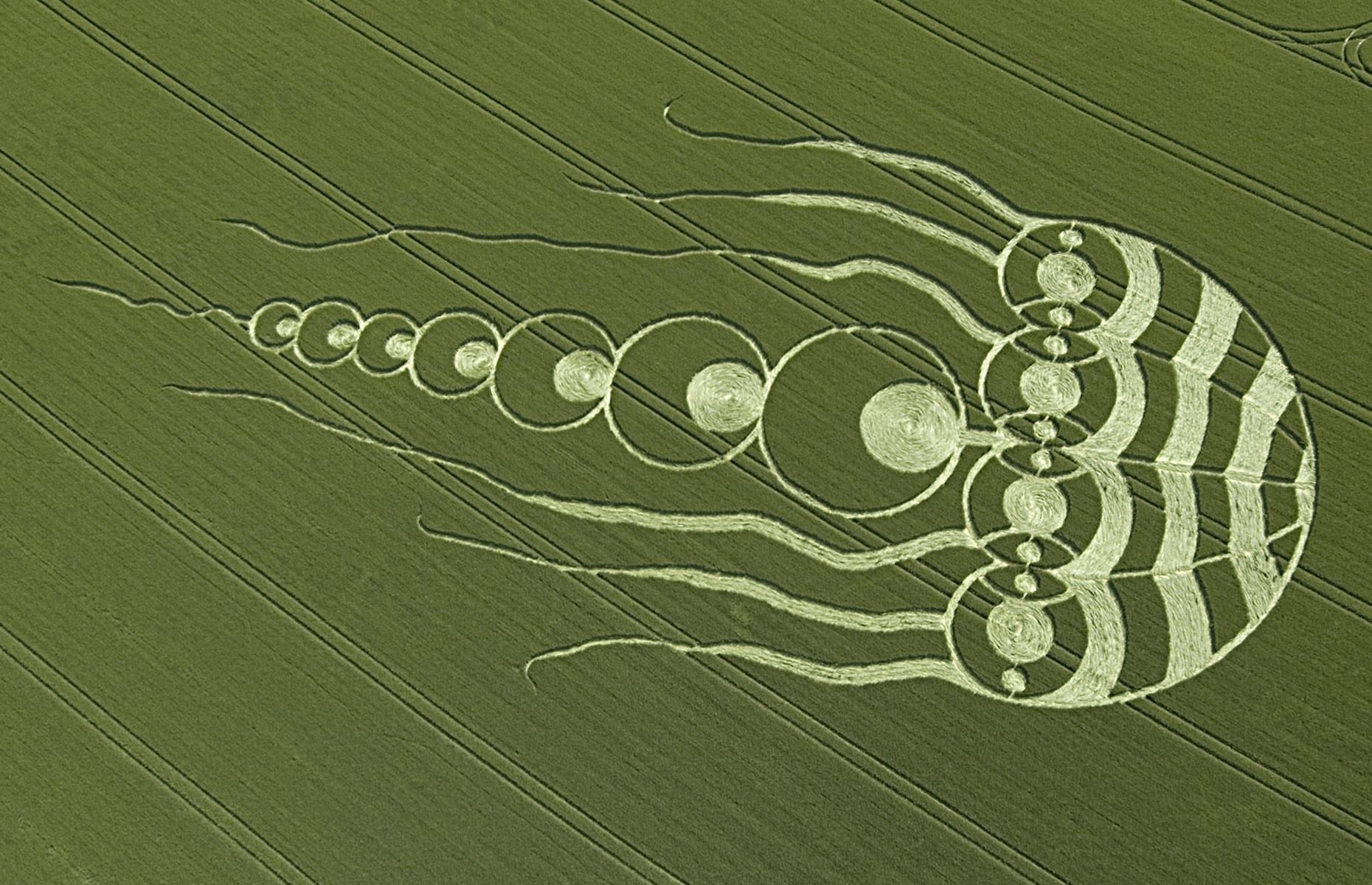 30 mysterious field patterns seen from above