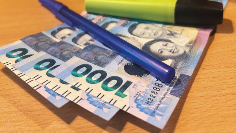 Pag-IBIG offers cash loans to ease financial burden amid effects of ...