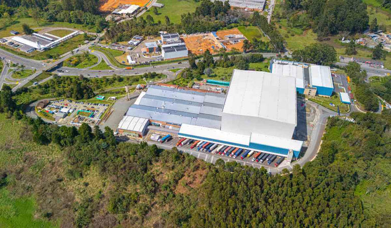 Essity presentó sus resultados globales de 2024: Así le fue al Grupo ...