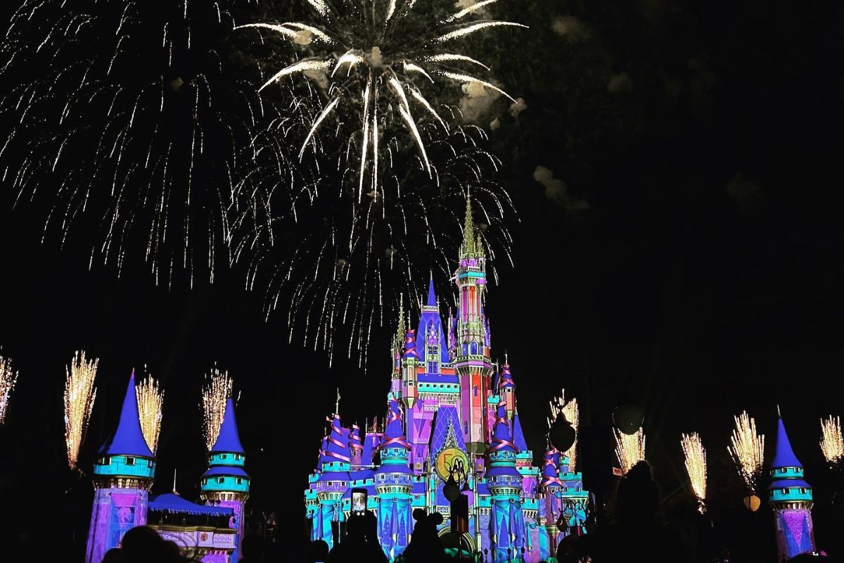 12 Fun Facts About The Disney World Castle