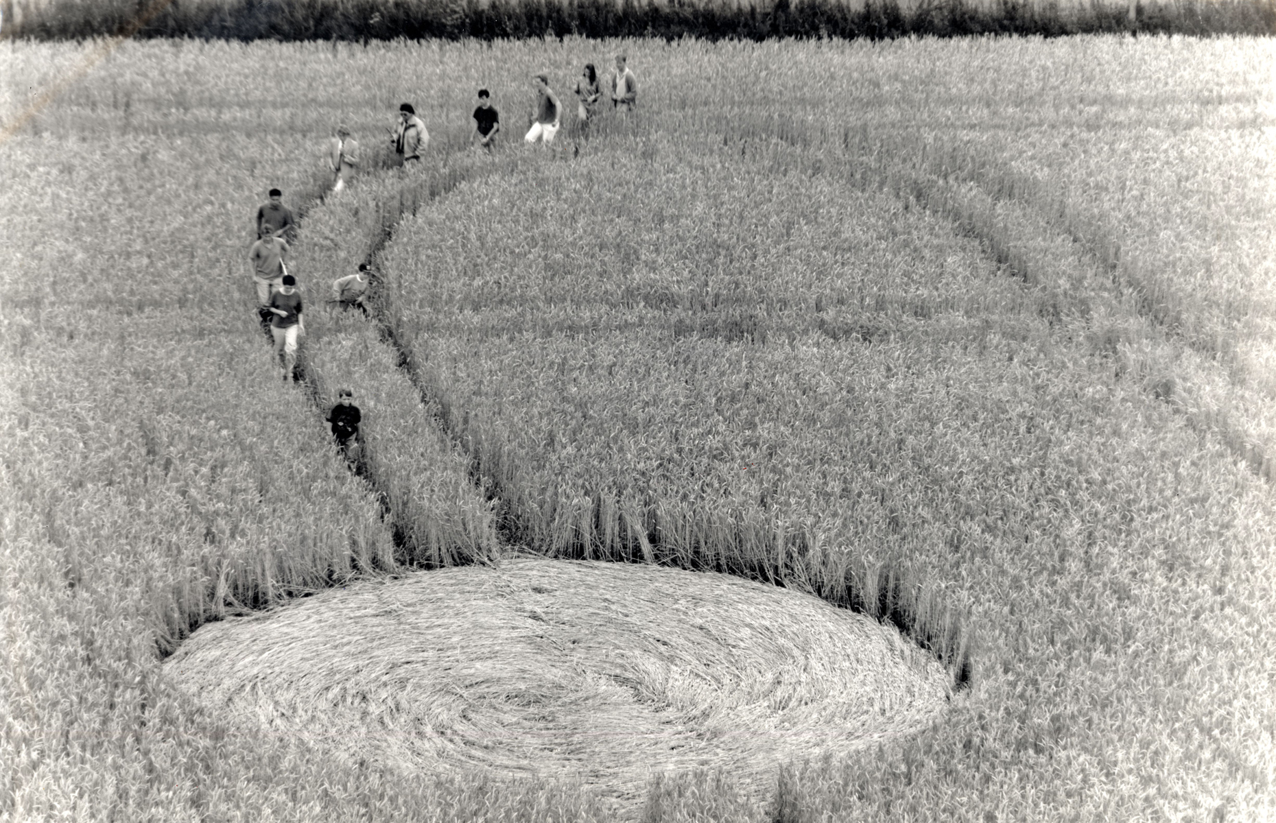 Crop circles: 30 mysterious field patterns seen from above