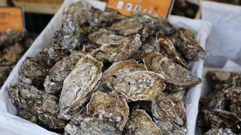 Red tide warning up in Leyte town; alerted lifted in 3 other areas