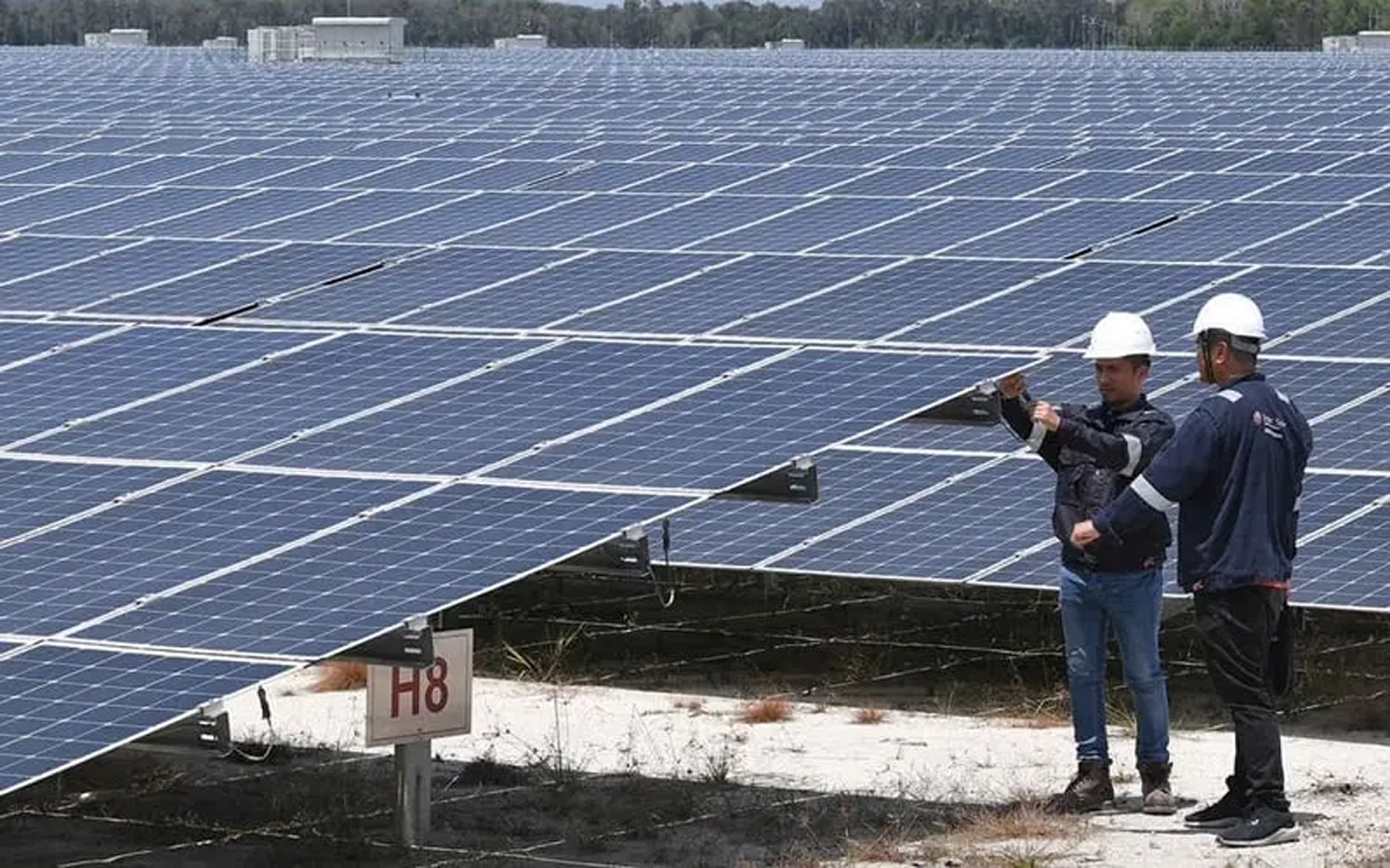 Green electricity tariff premiums maintained for 2025