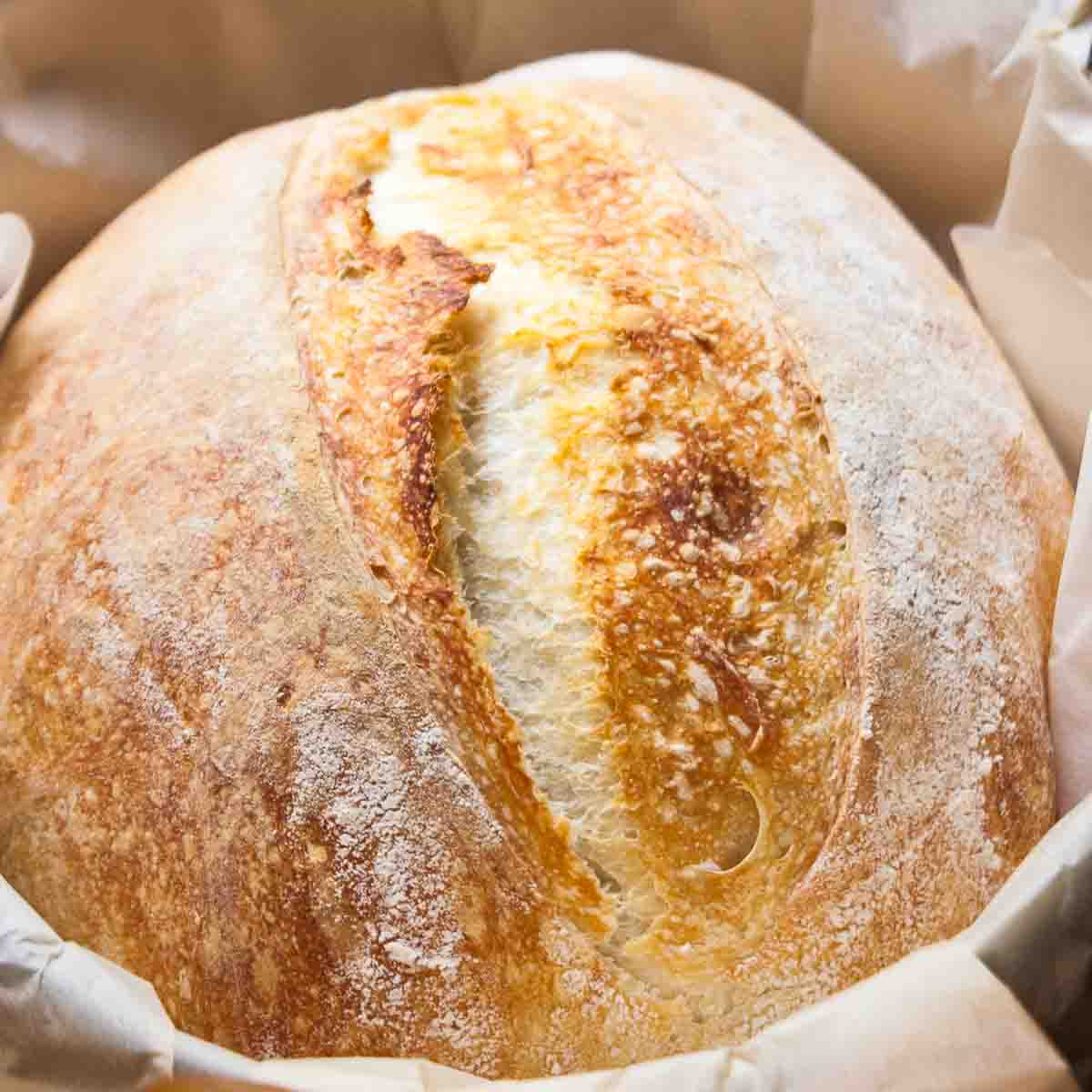 Easiest Ever No Knead Sourdough Bread Recipe