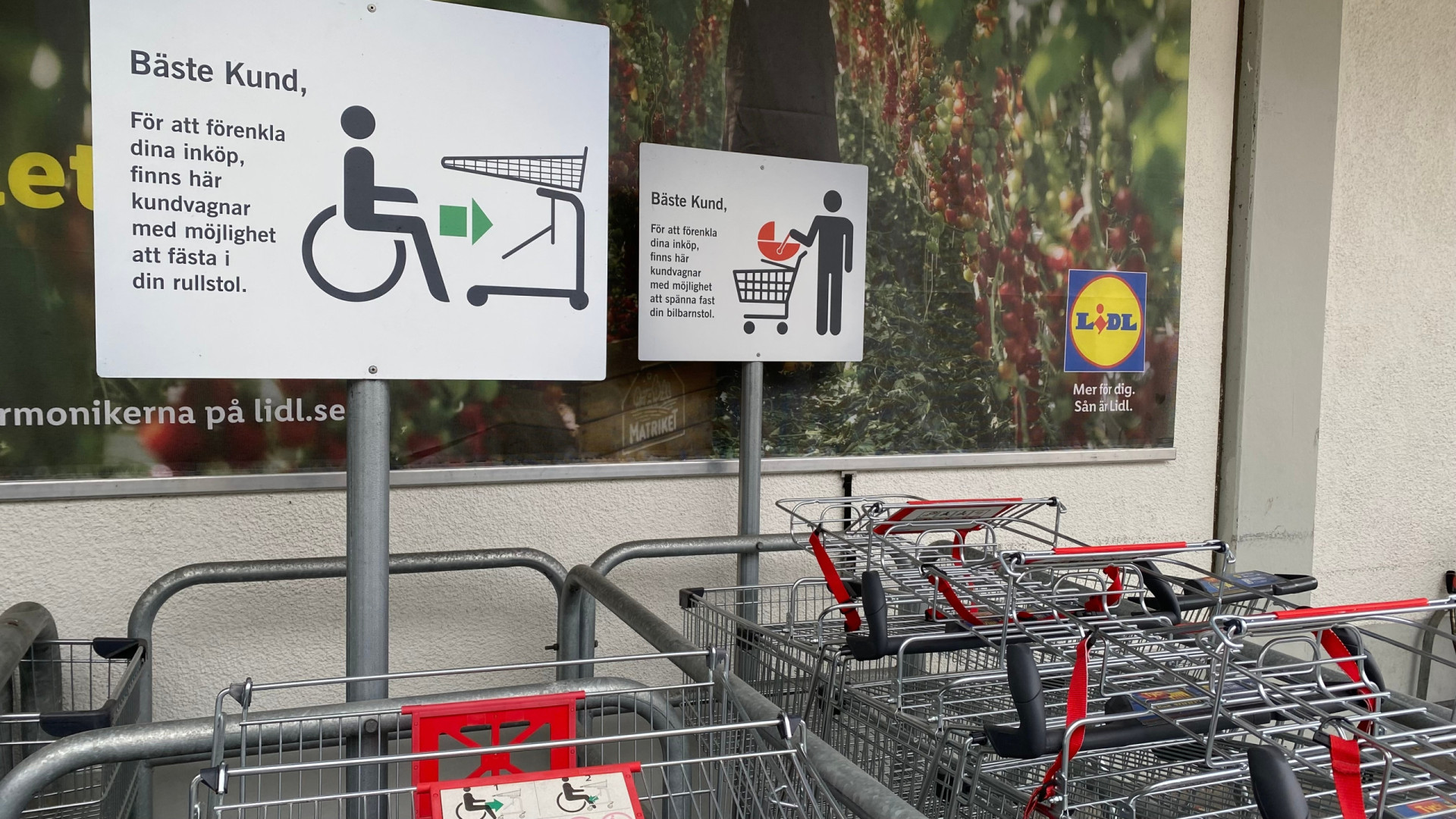 The most disability-friendly countries in the world