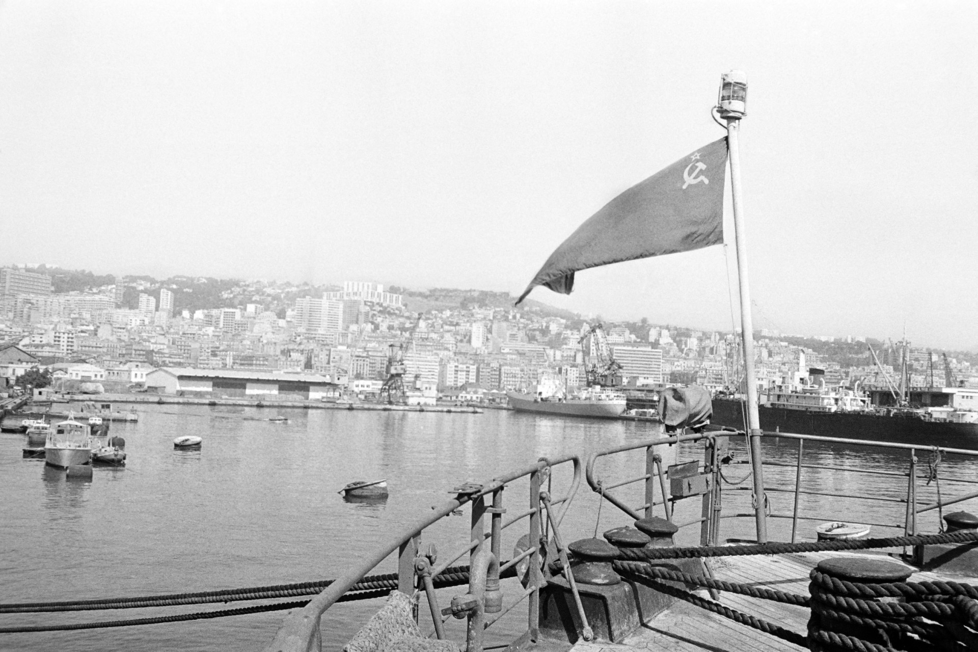 The Soviet swamp rat experiment