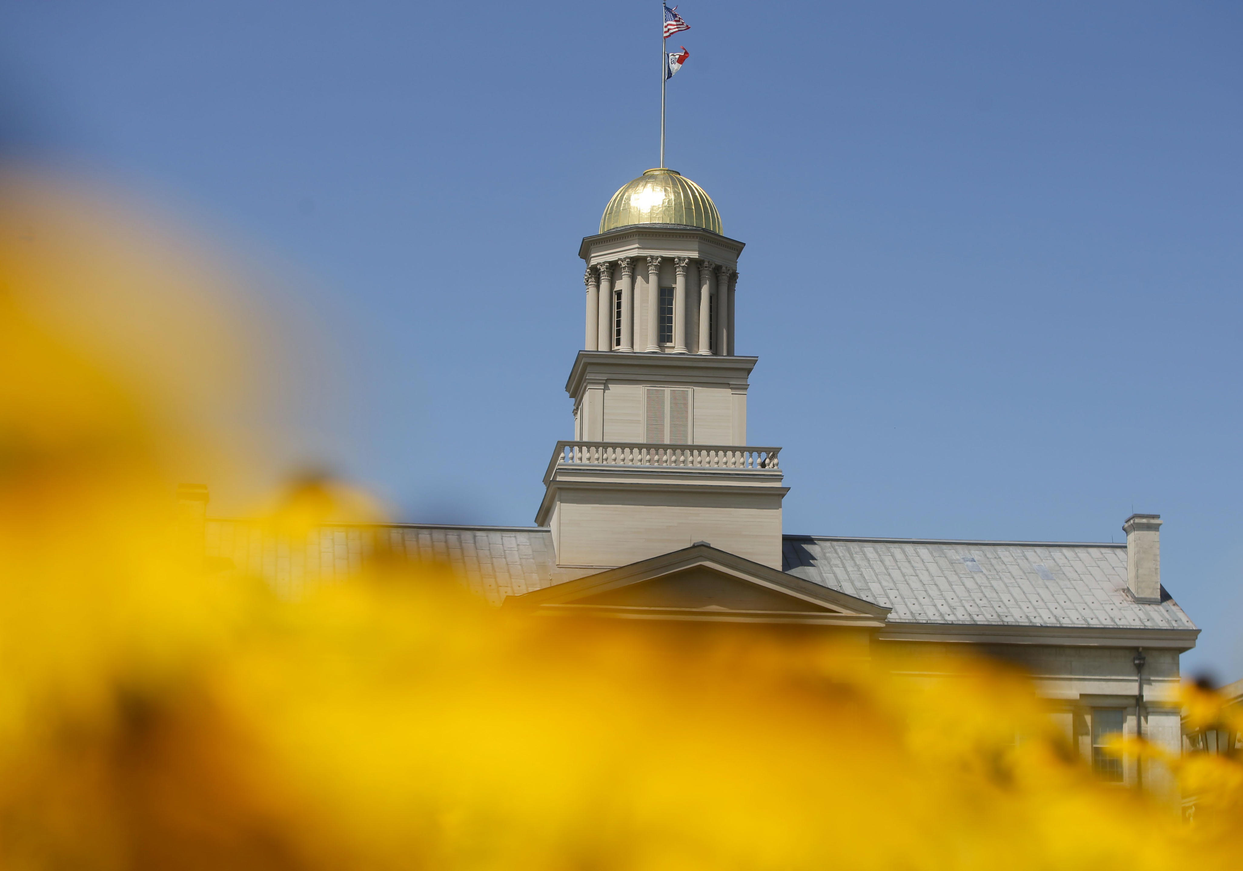 University of Iowa's Center for Intellectual Freedom advisory council ...