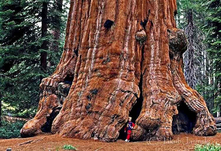 California’s Best Places (The Ones the Locals Love!)