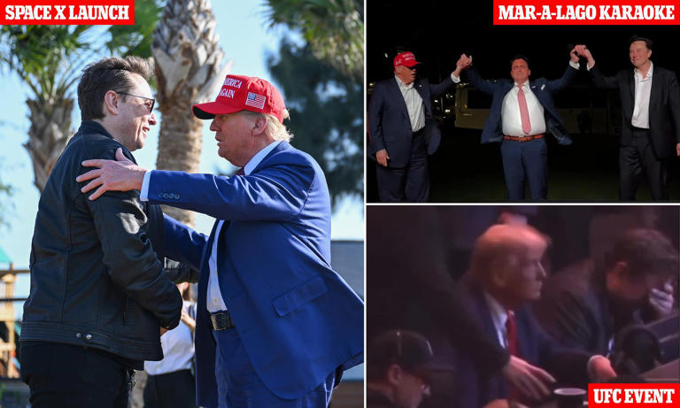 Donald Trump and Elon Musk's 'bromance' decoded Donald Trump and Elon Musk's 'bromance' decoded