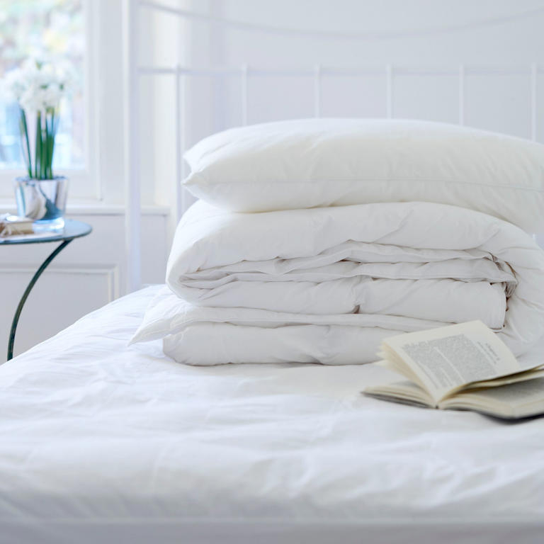 Where to donate bedding - 5 places that will accept your old bedding ...