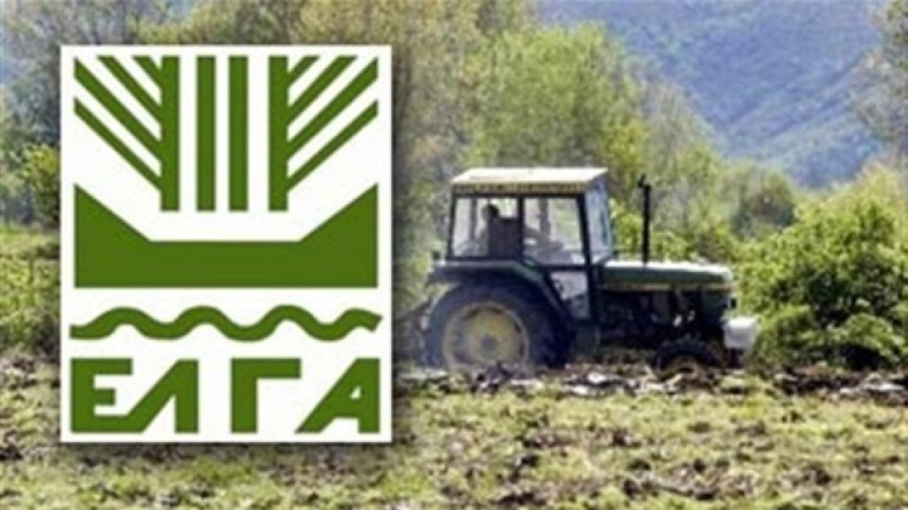 Λυκουρέντζος για τον επικείμενο έλεγχο από το ΥΠΟΙΚ στον ΕΛΓΑ:«Ο ΕΛΓΑ ...