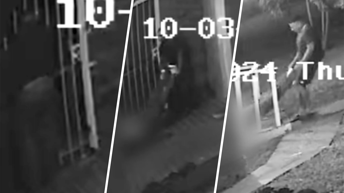 Shocking new video shows fatal shooting of Cuban singer El Taiger in ... Shocking new video shows fatal shooting of Cuban singer El Taiger in ...