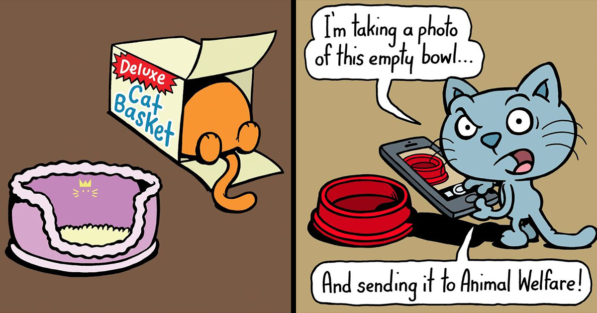 40 Relatable Single-Panel Comics For Cat Owners From Illustrator ...