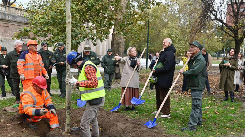 Giornata nazionale dell'albero, Milano festeggia piantandone 4.776 dopo ... Giornata nazionale dell'albero, Milano festeggia piantandone 4.776 dopo ...