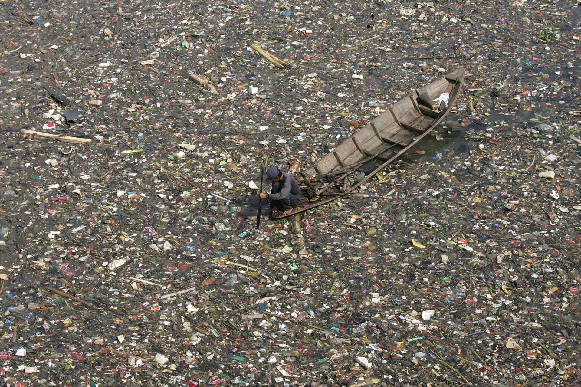 The effect of pollution on wildlife