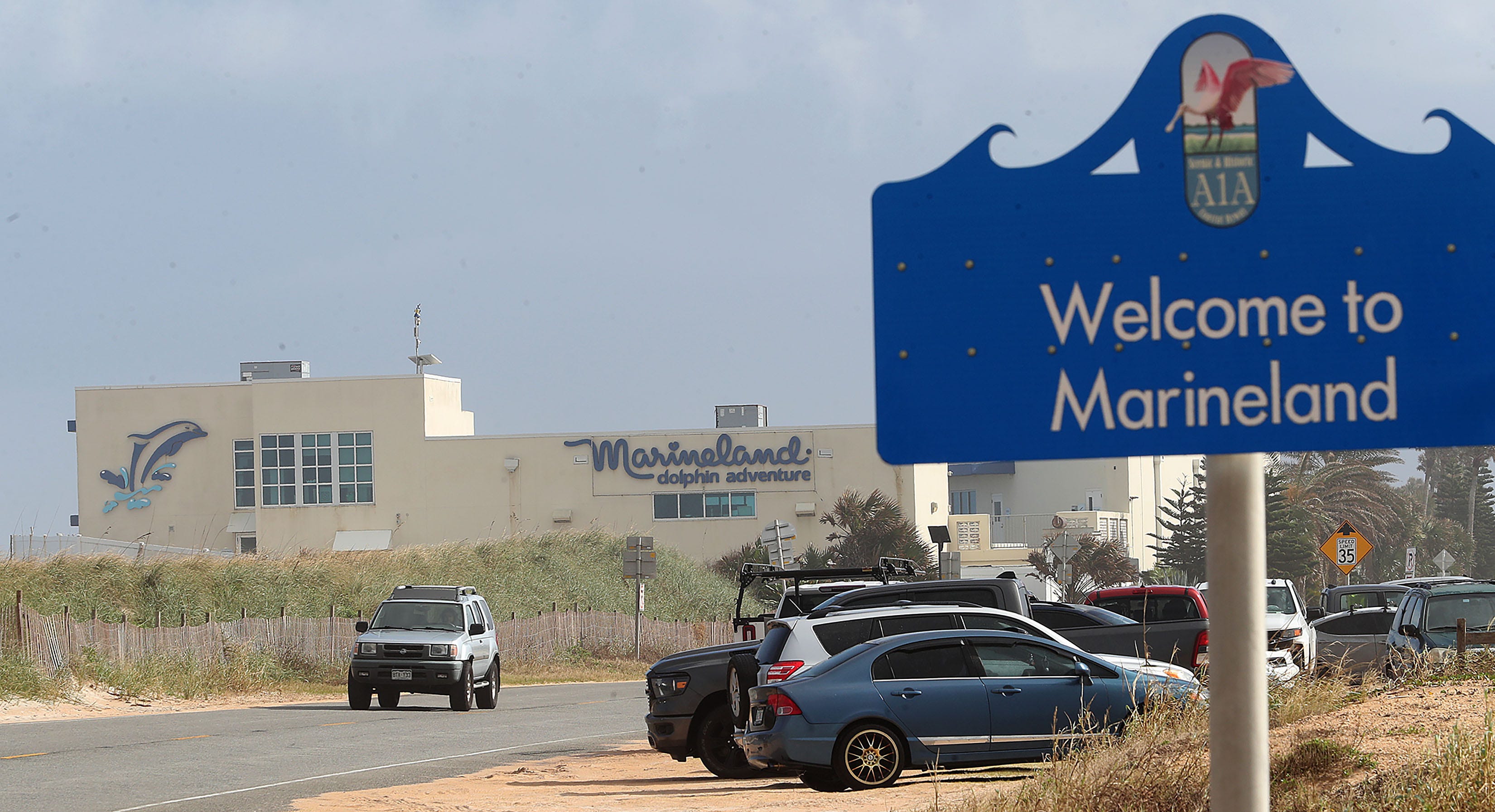 Mysterious company wins Marineland Dolphin Adventure auction with $7.1M bid