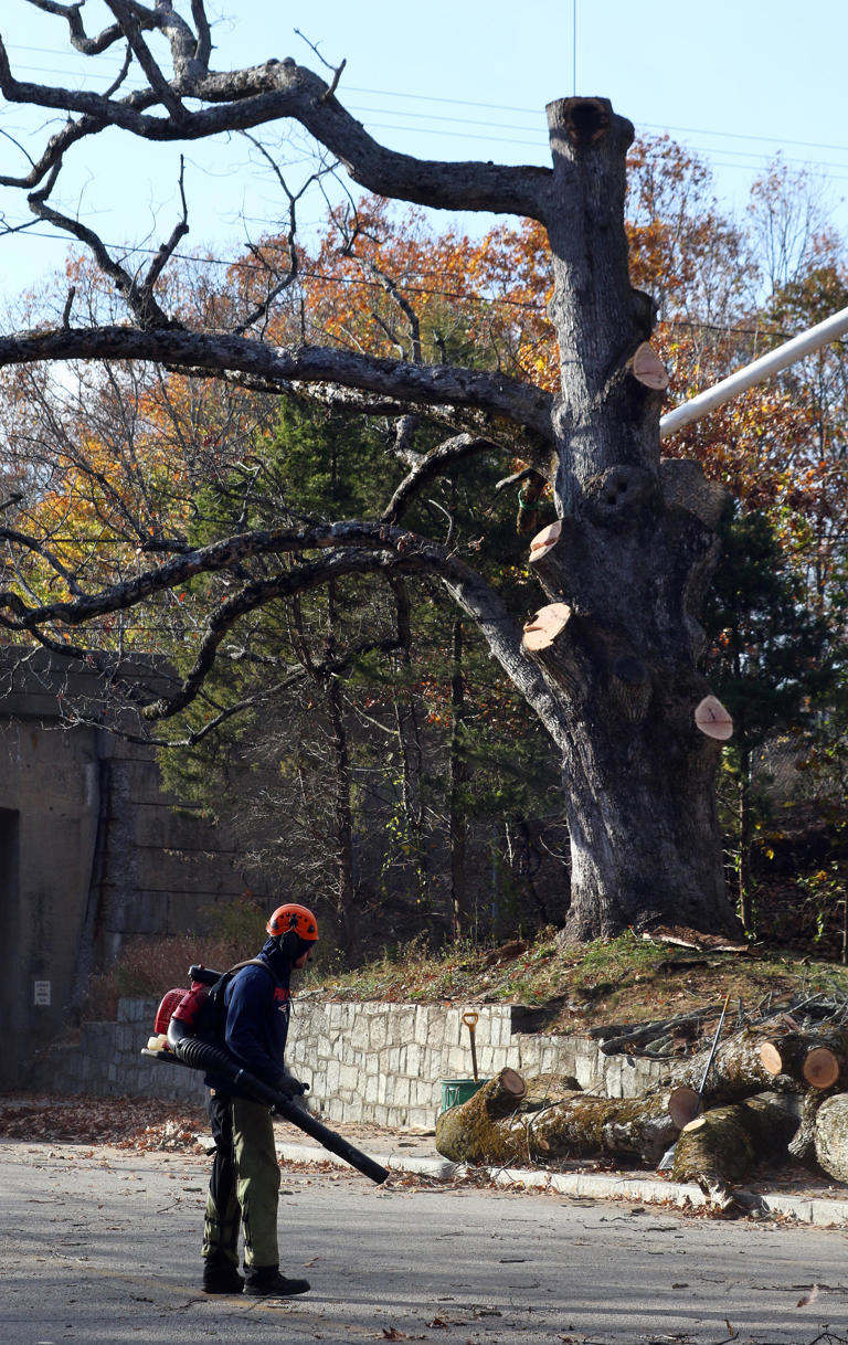 Ban on gas-powered leaf blowers gets final approval in Providence. Here ...