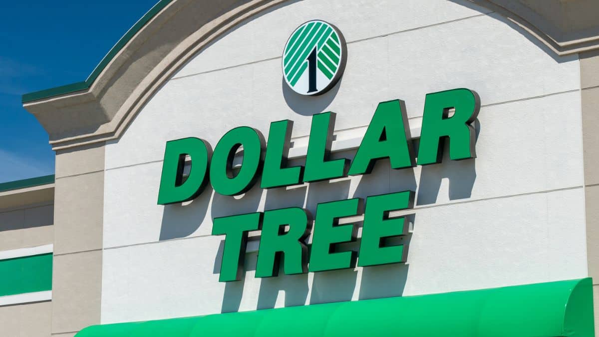 15 Incredible Dollar Tree Deals Frugal People Can’t Get Enough Of