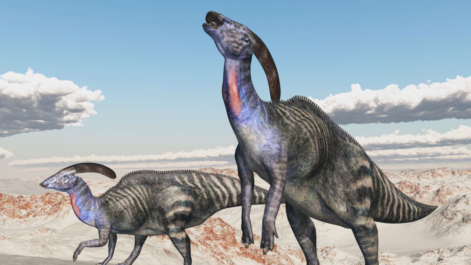 Scientists recreate dinosaur calls by modeling Duck-billed dinosaur’s crest Scientists recreate dinosaur calls by modeling Duck-billed dinosaur’s crest