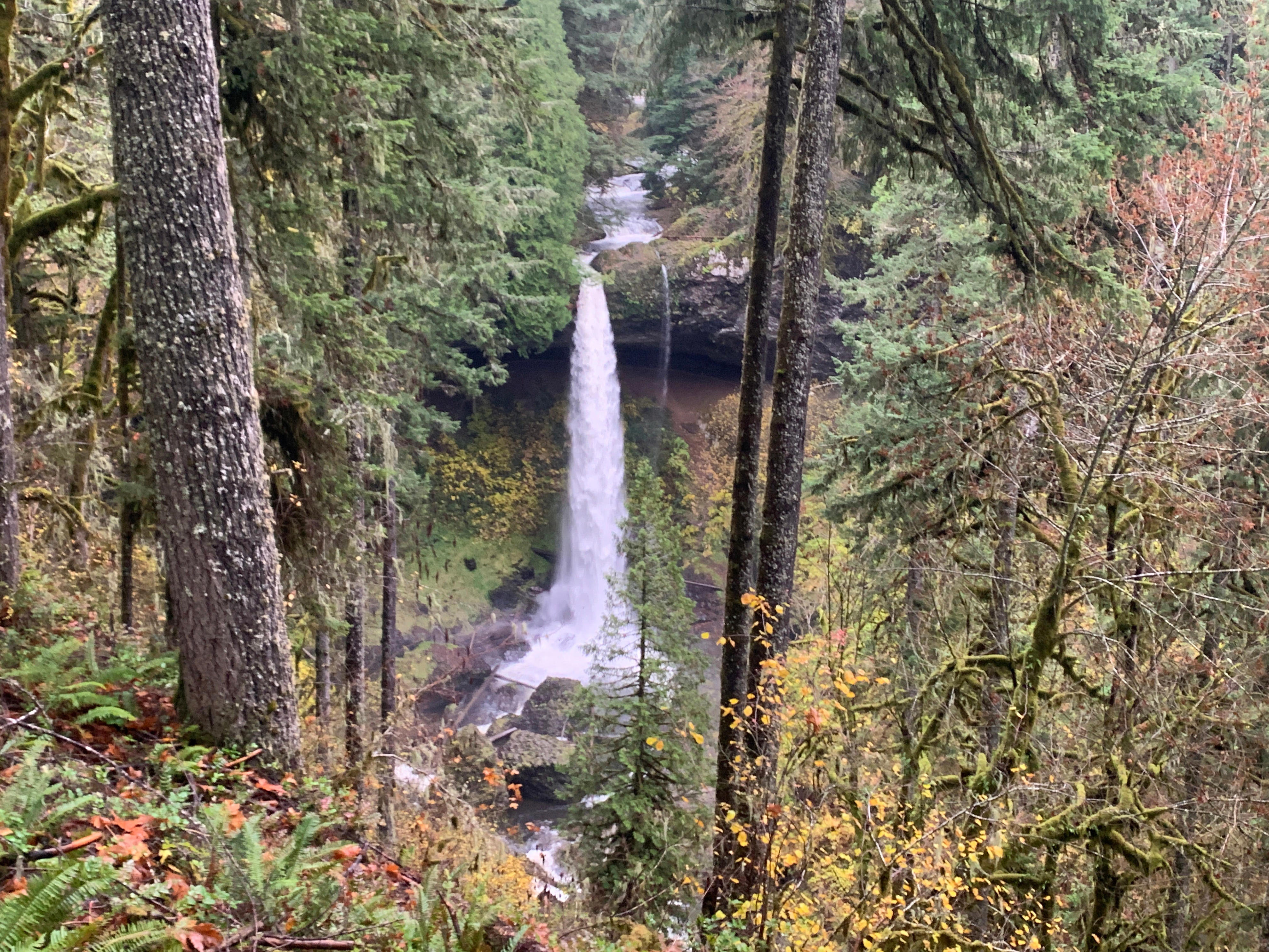 First Day Hikes offered on New Year's Day at Oregon state parks: See ...