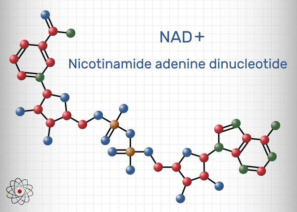 NAD+ Supplements: Slowing the Aging Process