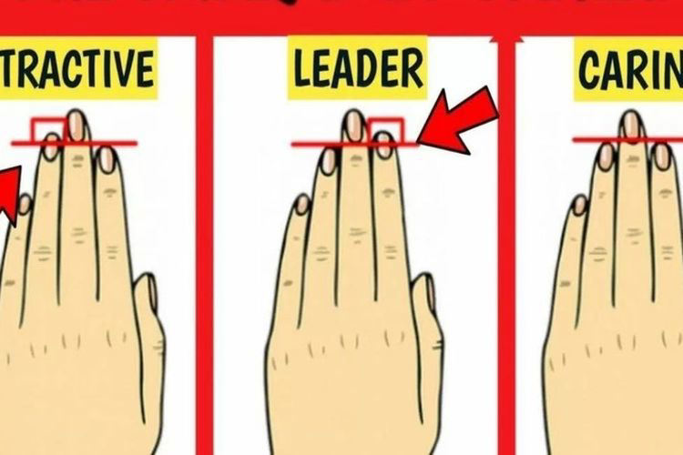 Jari Telunjuk Lebih Panjang dari Jari Manis atau Sebaliknya? Ini Tes ... Jari Telunjuk Lebih Panjang dari Jari Manis atau Sebaliknya? Ini Tes ...