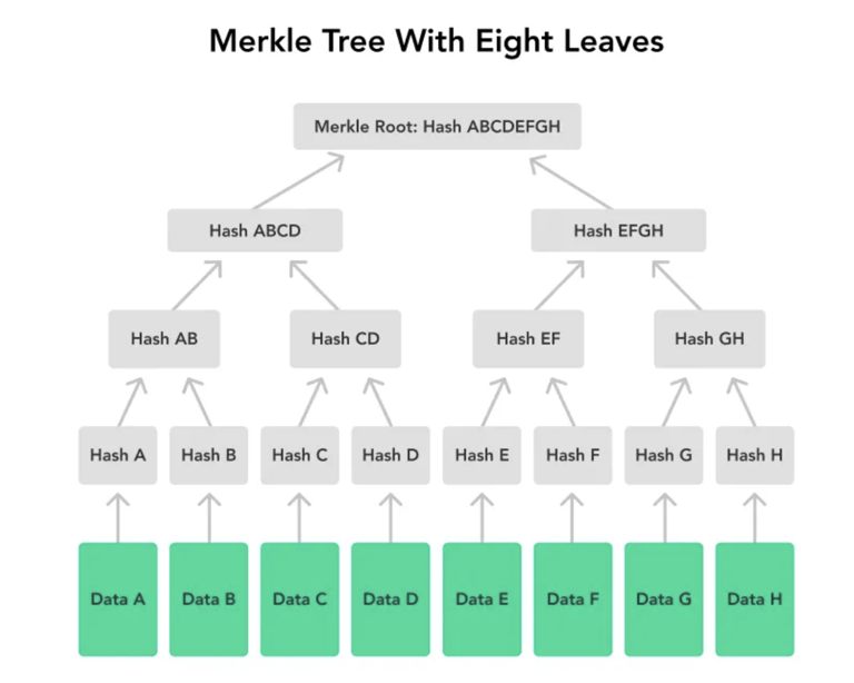 How Bitcoin Uses Merkle Trees To Ensure Transaction Integrity