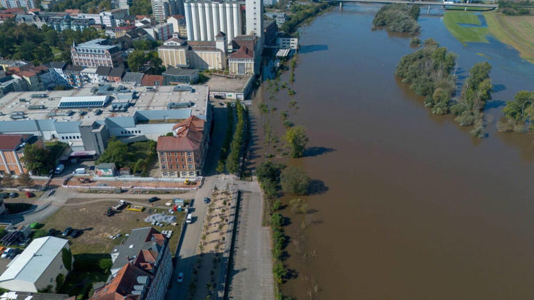 Der Wasserstand der Elbe in Riesa am 14.06.2026